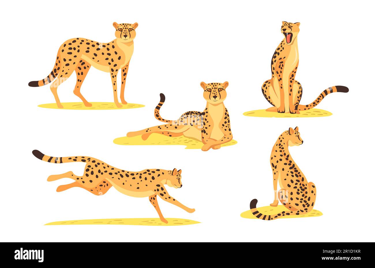 Cartoon leopard set Stock Vector Image & Art - Alamy