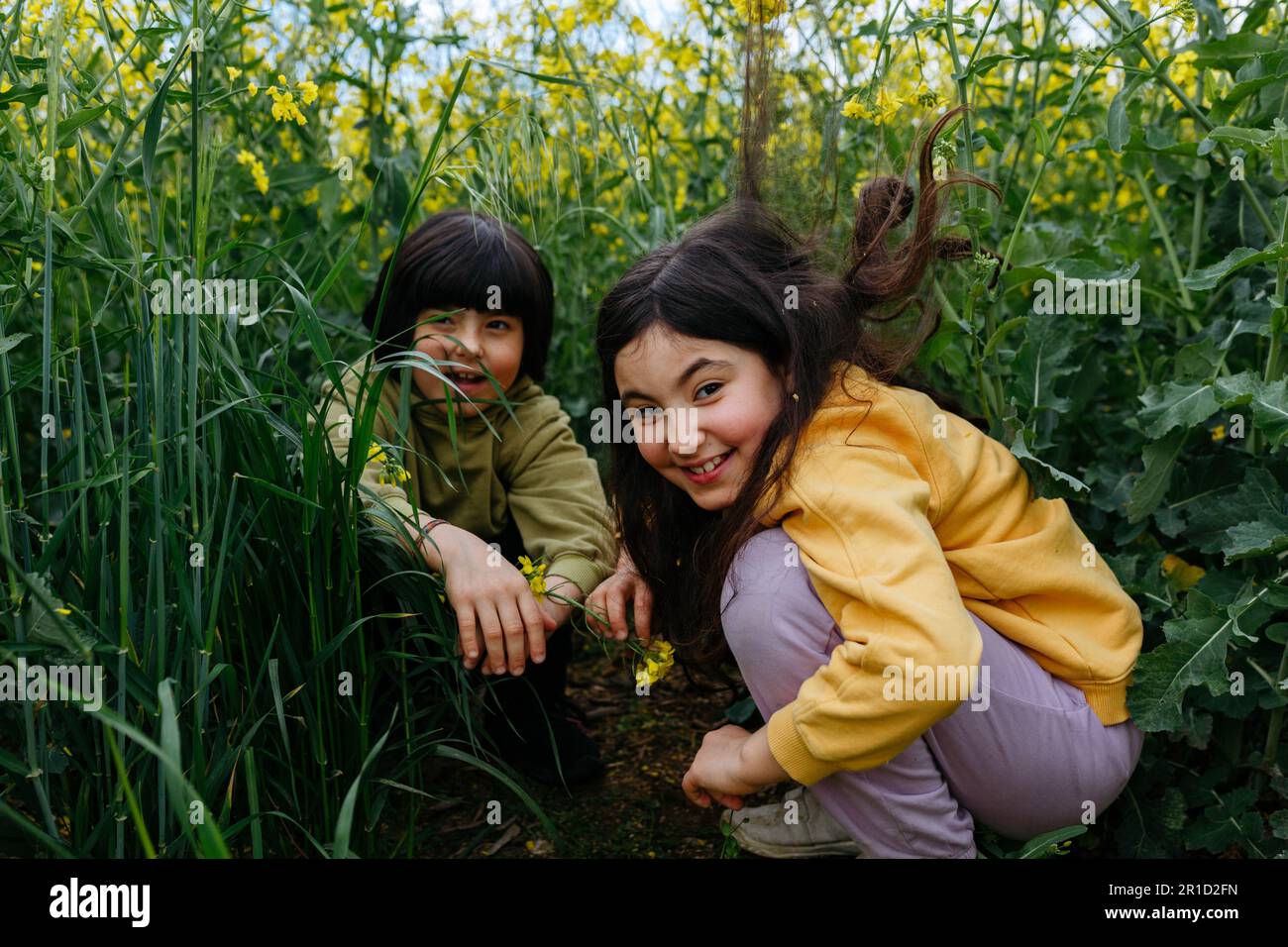 two girls sitting and hiding in the field with yellow flowers playing ...