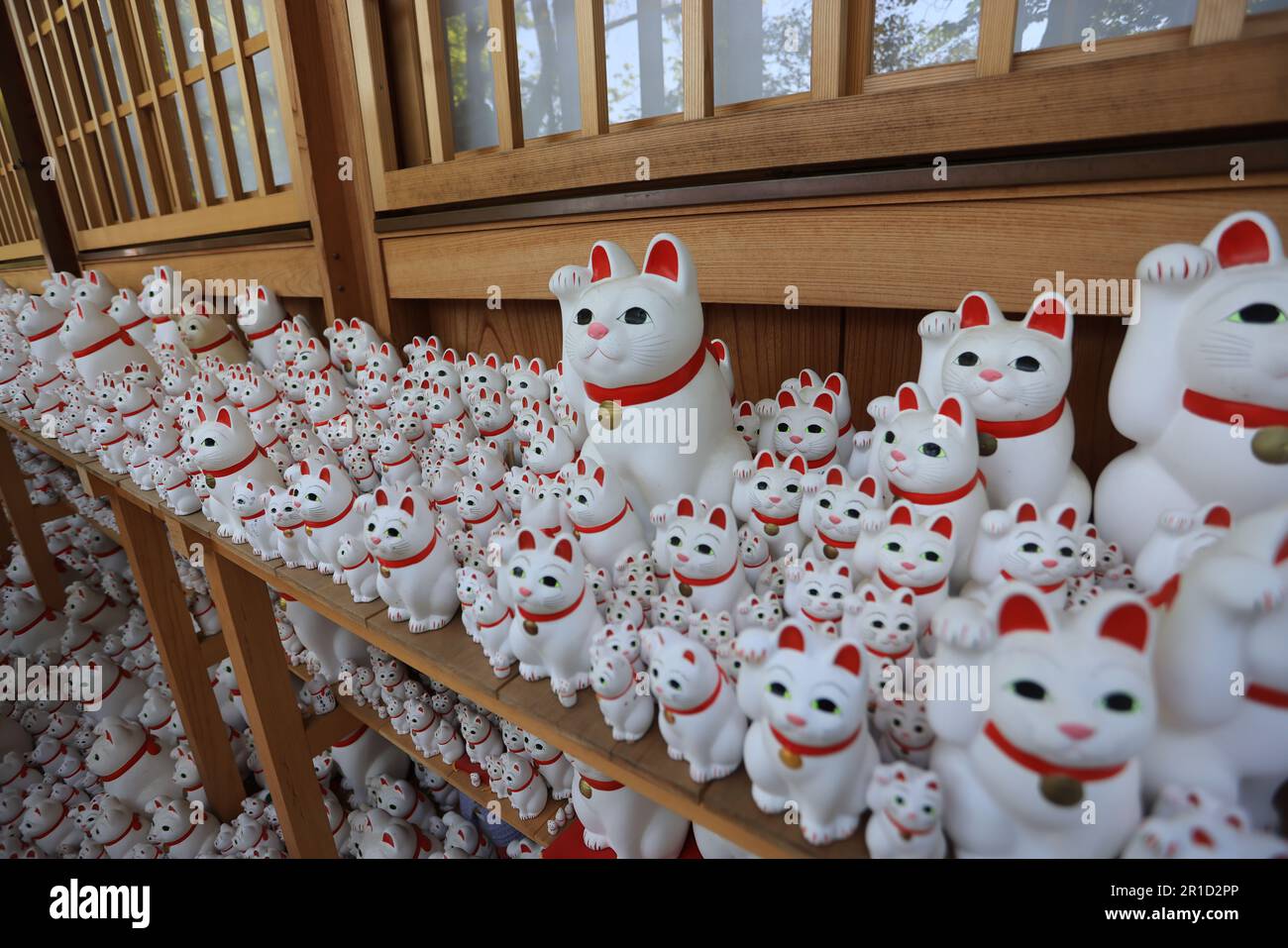 Maneki neko cats at gotoku ji shrine hi-res stock photography and images - Alamy
