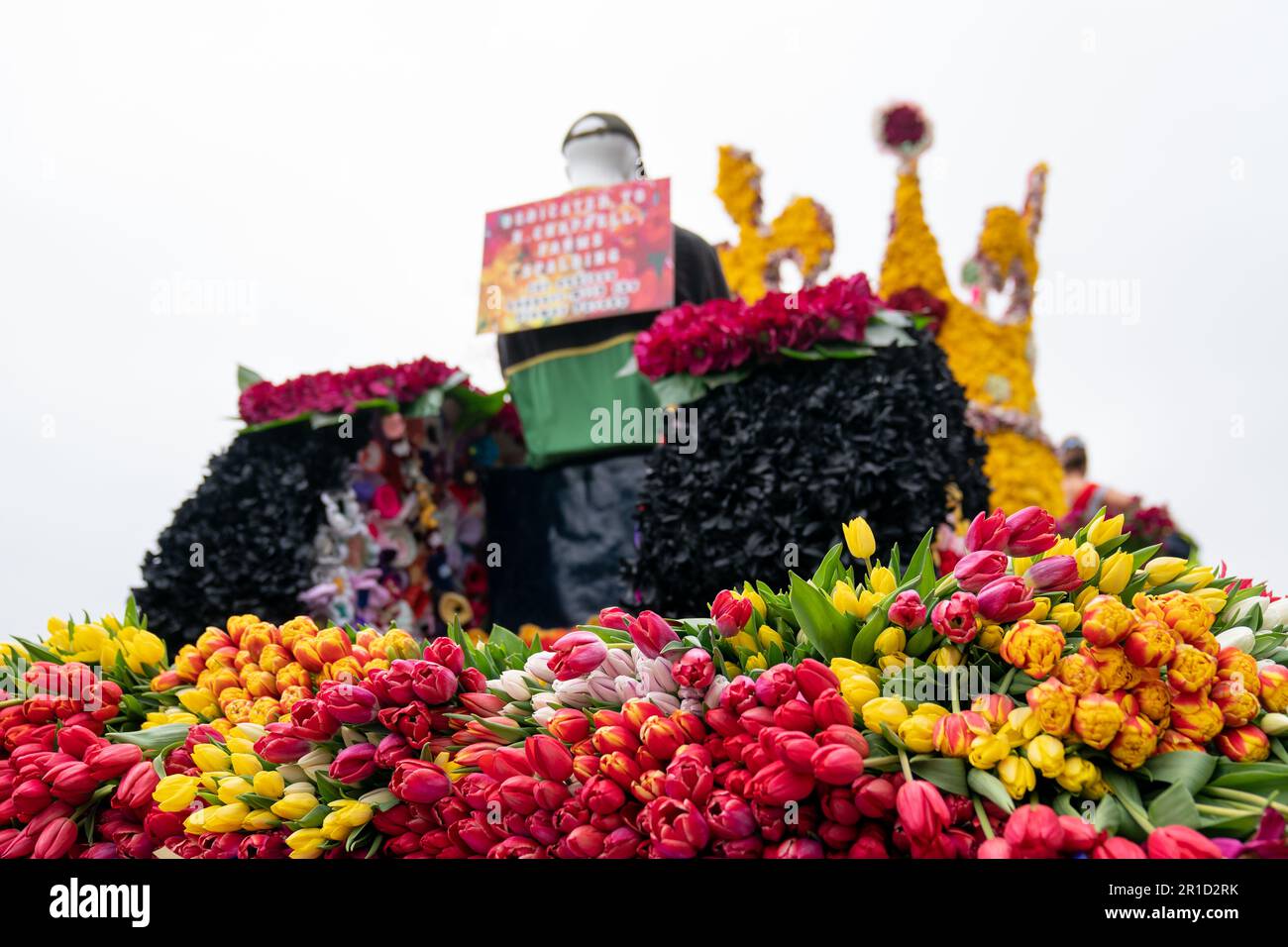 A float decorated with tulip heads during the Spalding Flower Parade ...