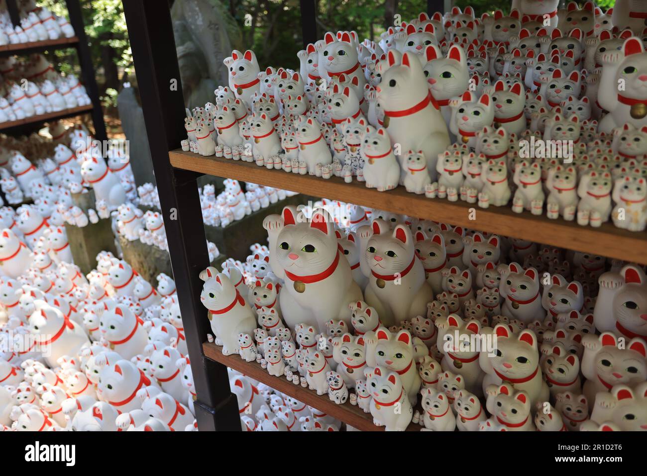 Gotokuji, the famous cat shrine in tokyo, which the beckoning cat is ...