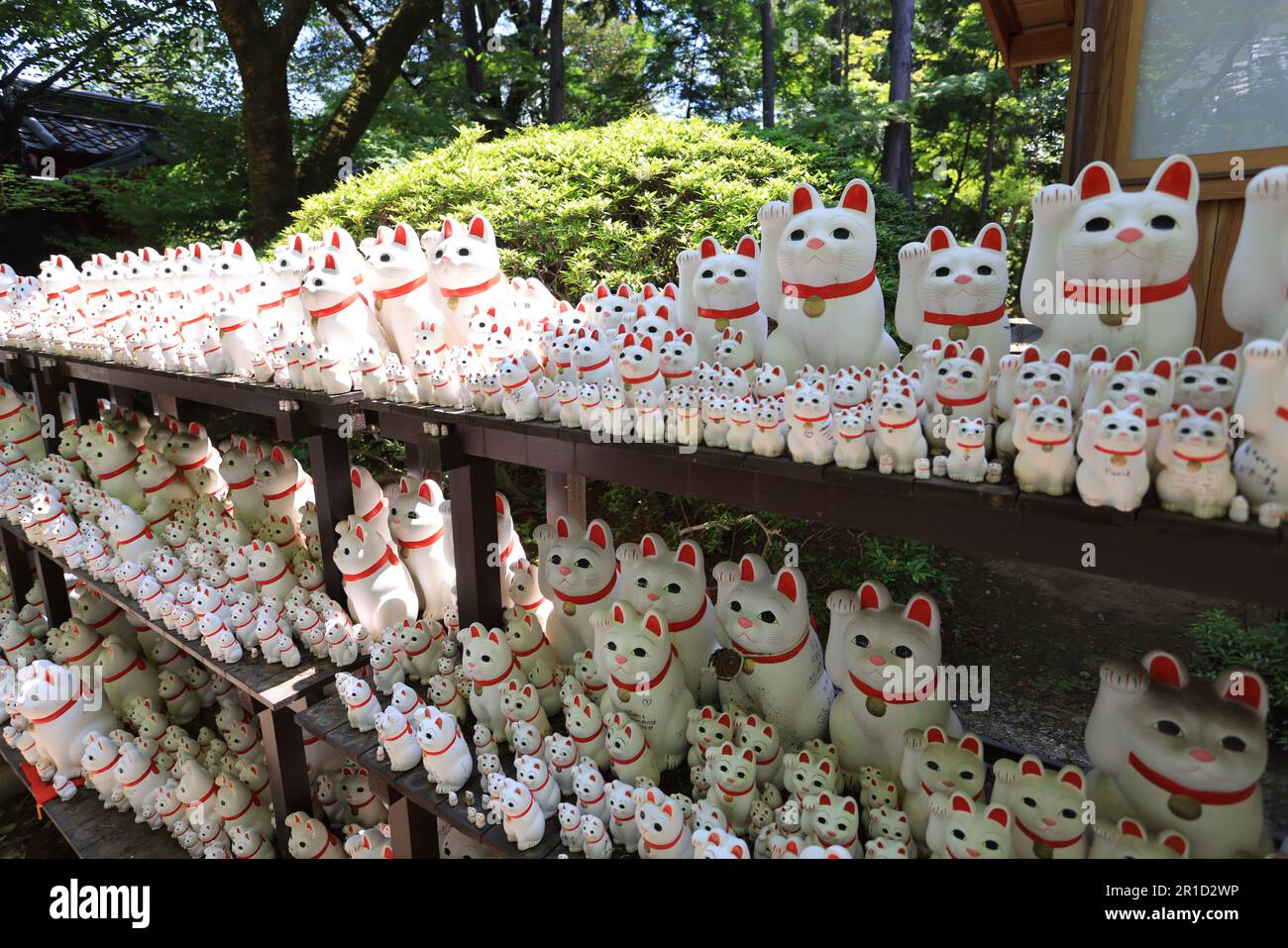 Gotokuji, the famous cat shrine in tokyo, which the beckoning cat is ...