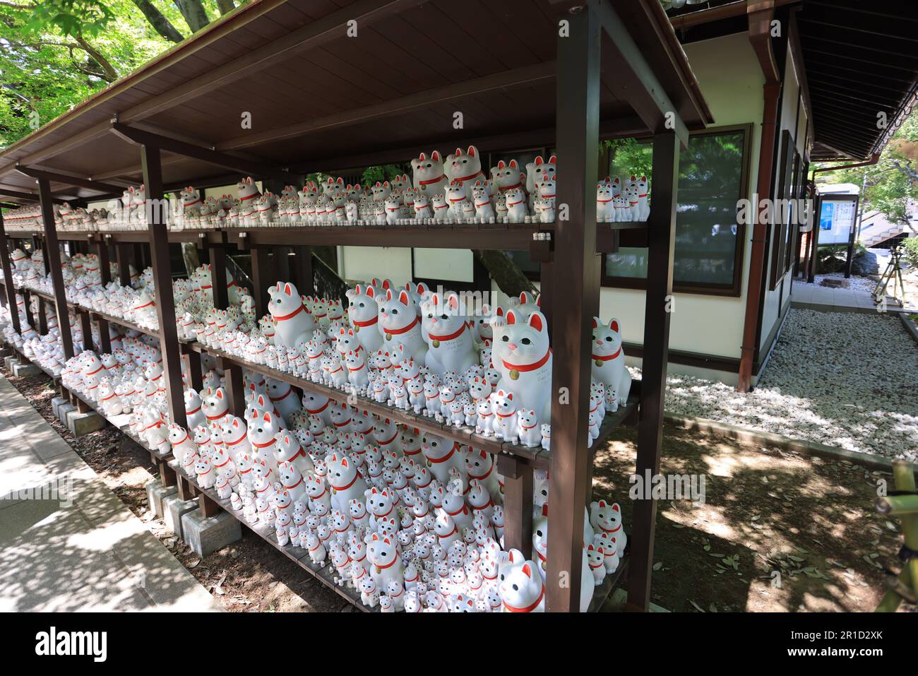 Gotokuji, the famous cat shrine in tokyo, which the beckoning cat is ...