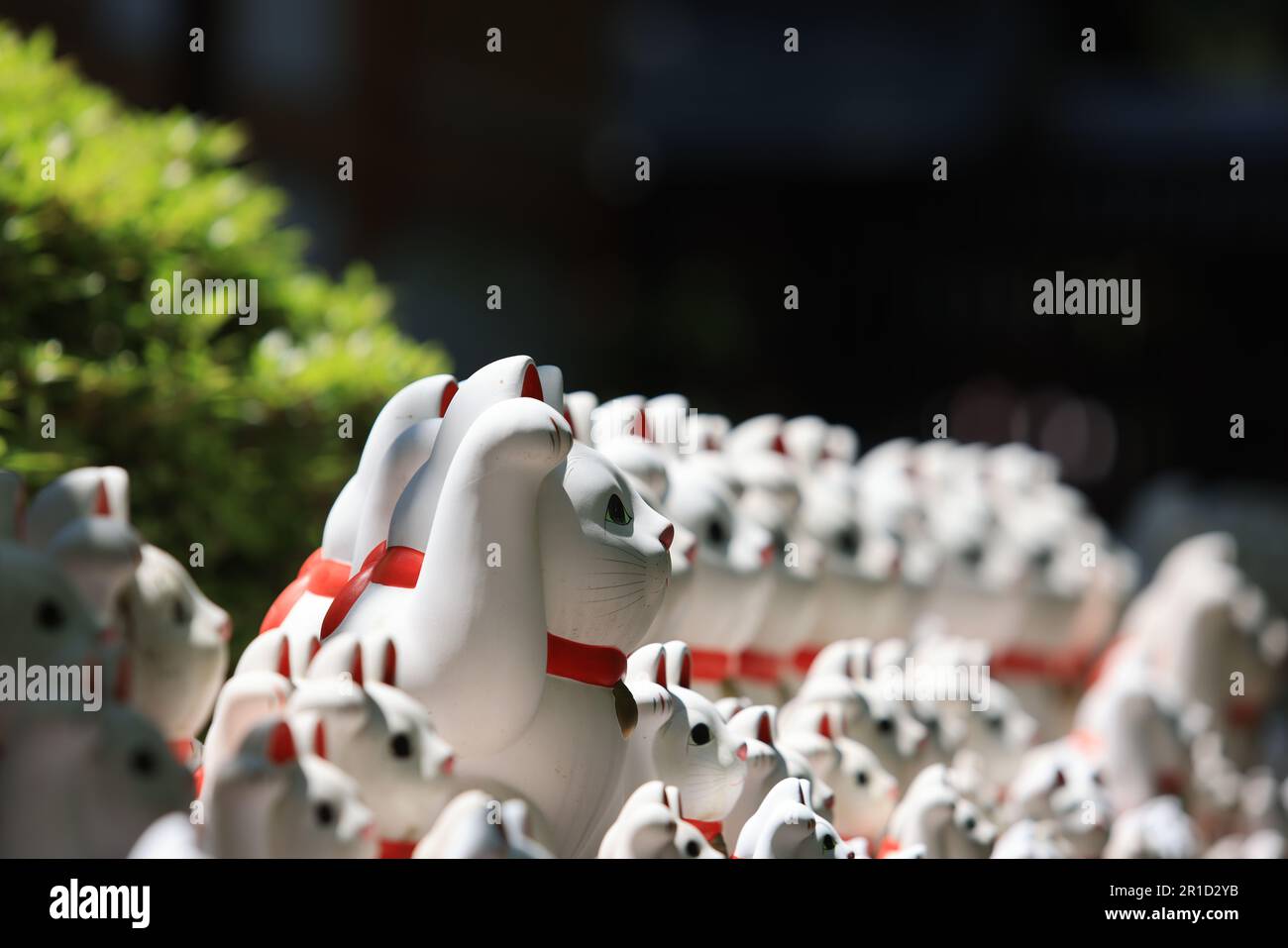 Gotokuji, the famous cat shrine in tokyo, which the beckoning cat is ...