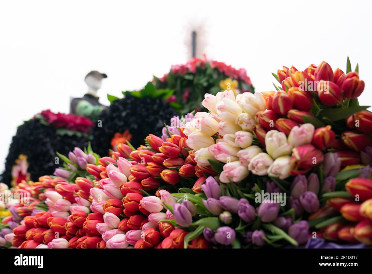 A float decorated with tulip heads during the Spalding Flower Parade ...