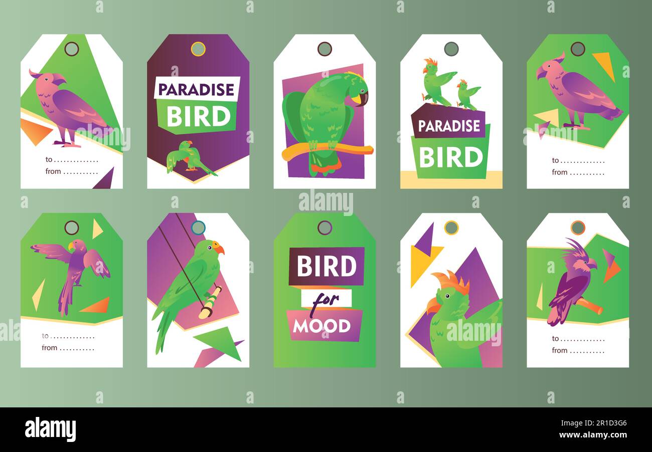 Trendy special tag designs with funny parrots Stock Vector Image & Art ...