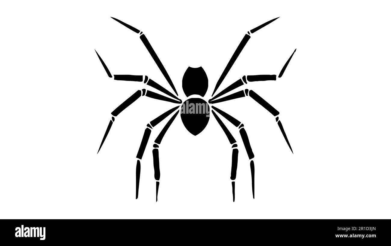 Spider black icon, logo. Vector illustration isolated on white ...