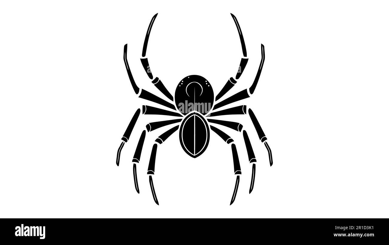 Spider black icon, logo. Vector illustration isolated on white ...
