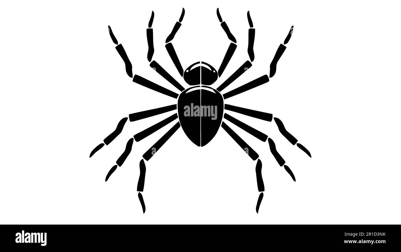 Spider black icon, logo. Vector illustration isolated on white ...