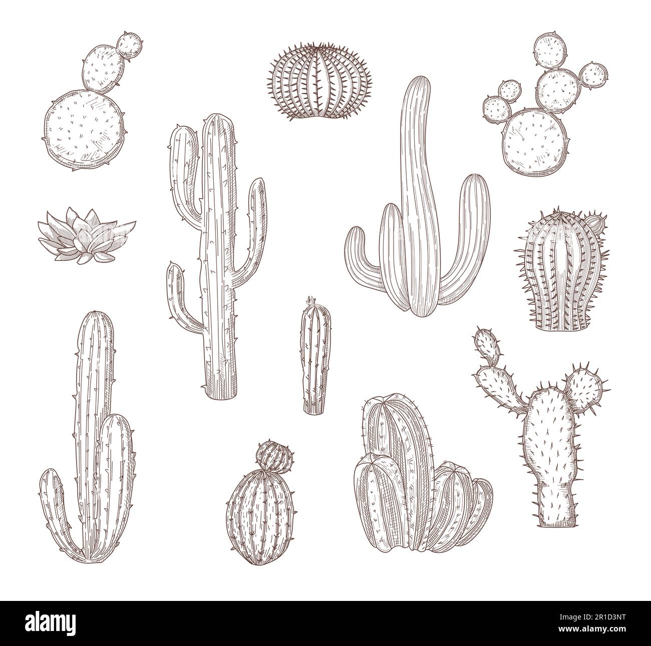 Set of hand drawn cacti with flowers Stock Vector Image & Art - Alamy