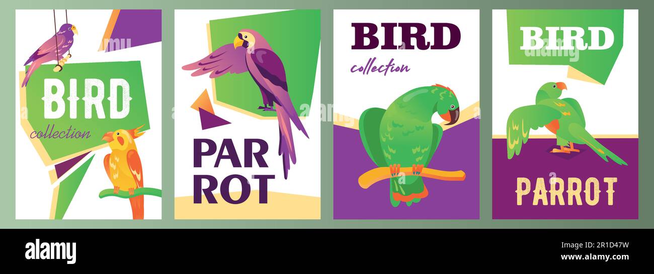 Trendy poster designs with colorful parrots Stock Vector Image & Art ...
