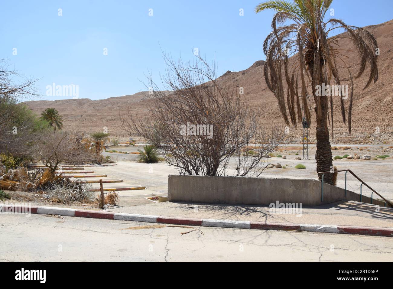 Deserted remains of the Ein Gedi Spa in the Ein Gedi Beach Area, Israel ...