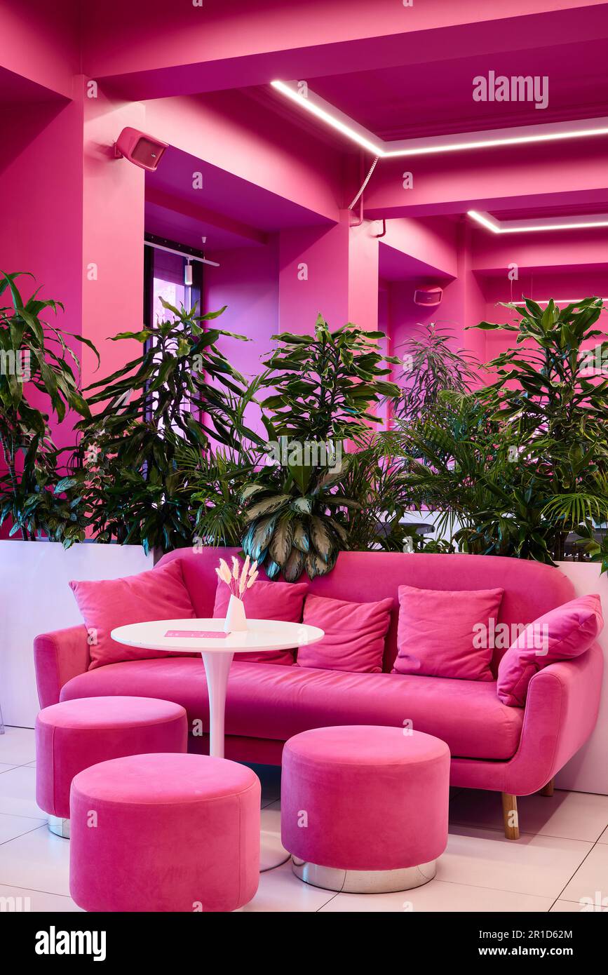 Modern pink interior with lots of plants Stock Photo - Alamy