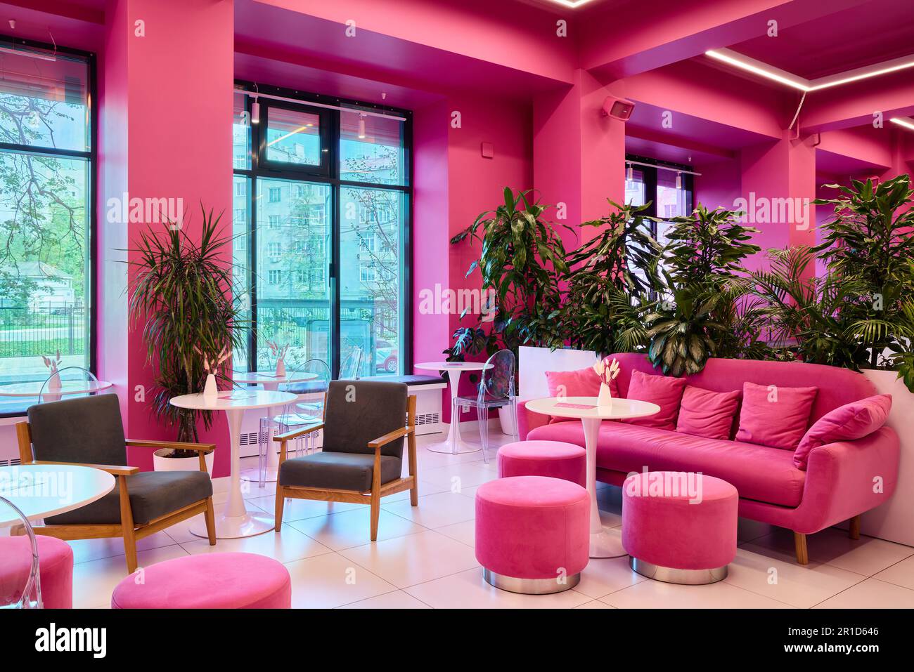 Modern pink interior with lots of plants Stock Photo - Alamy
