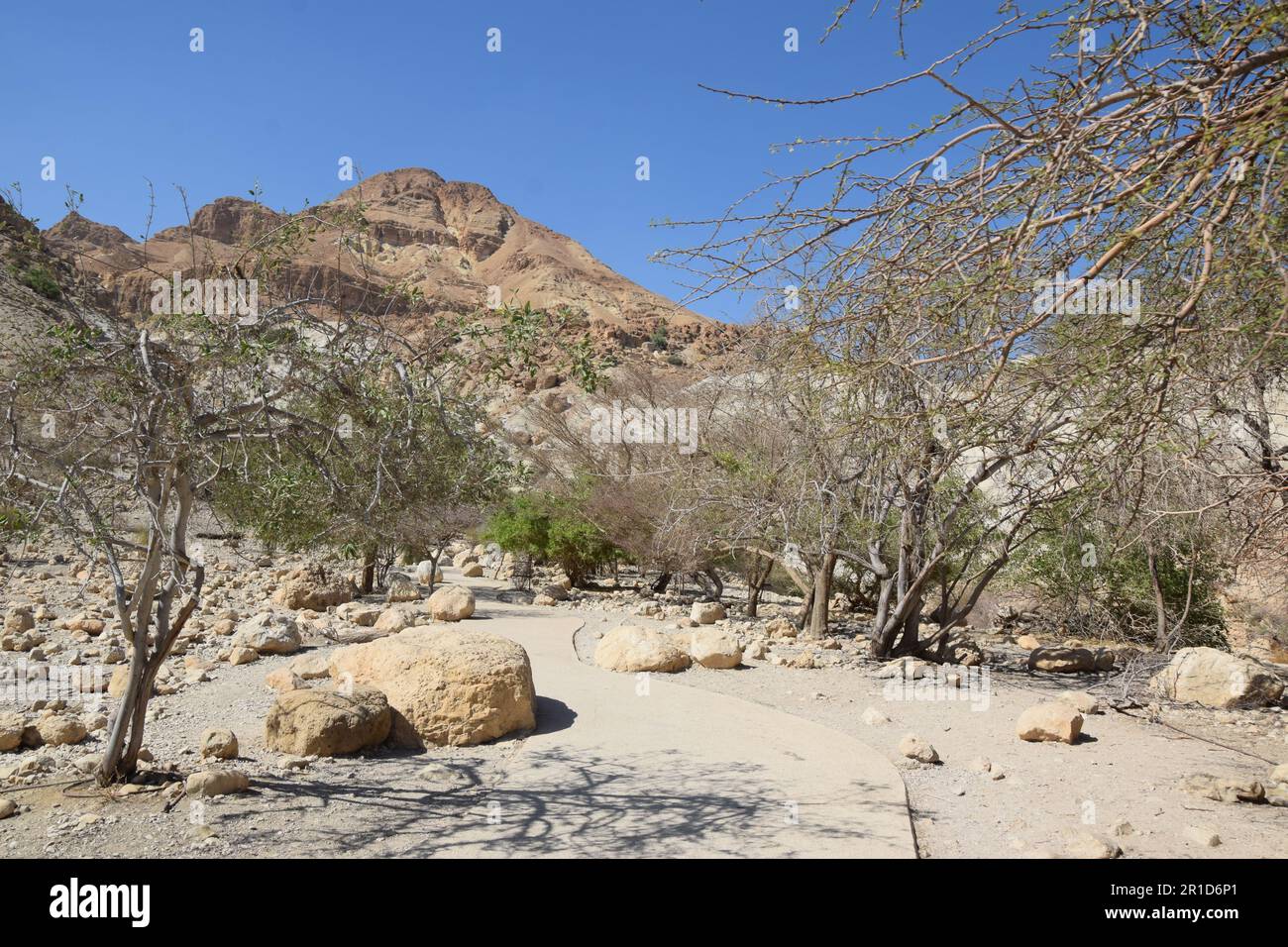 Waterfalls and wild goats on the hiking trail in the Ein Gedi Nature ...