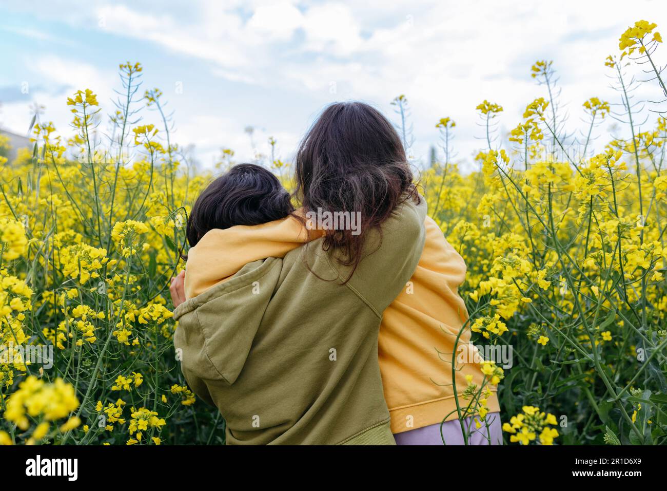 low angle back view of two children hugging each other in the vast field with yellow flowers ...