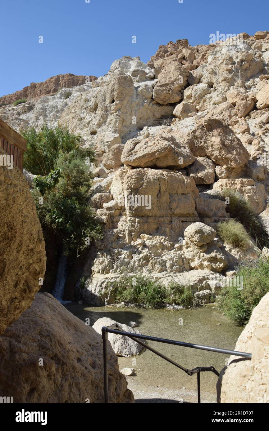 Waterfalls and wild goats on the hiking trail in the Ein Gedi Nature ...