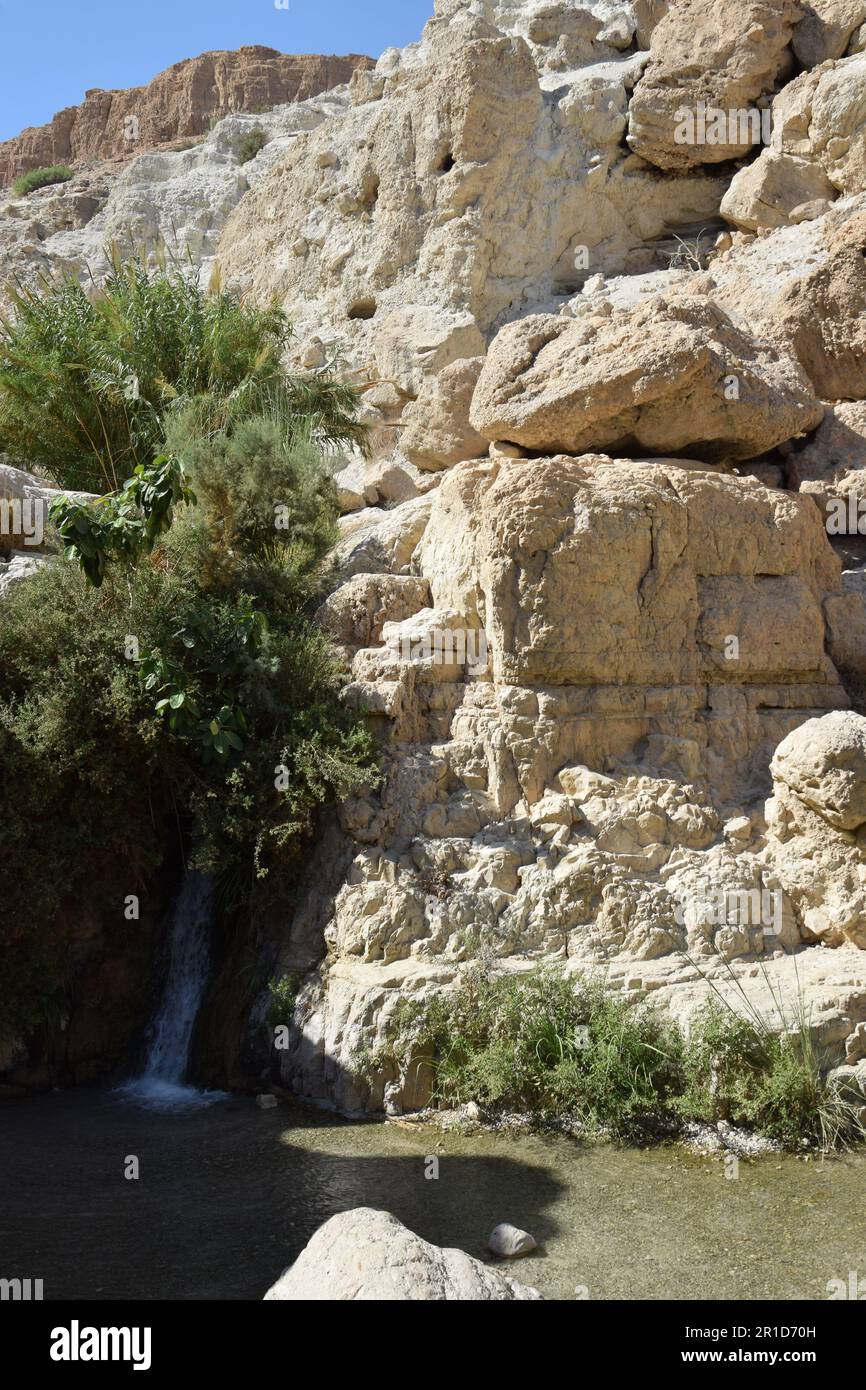 Waterfalls and wild goats on the hiking trail in the Ein Gedi Nature ...