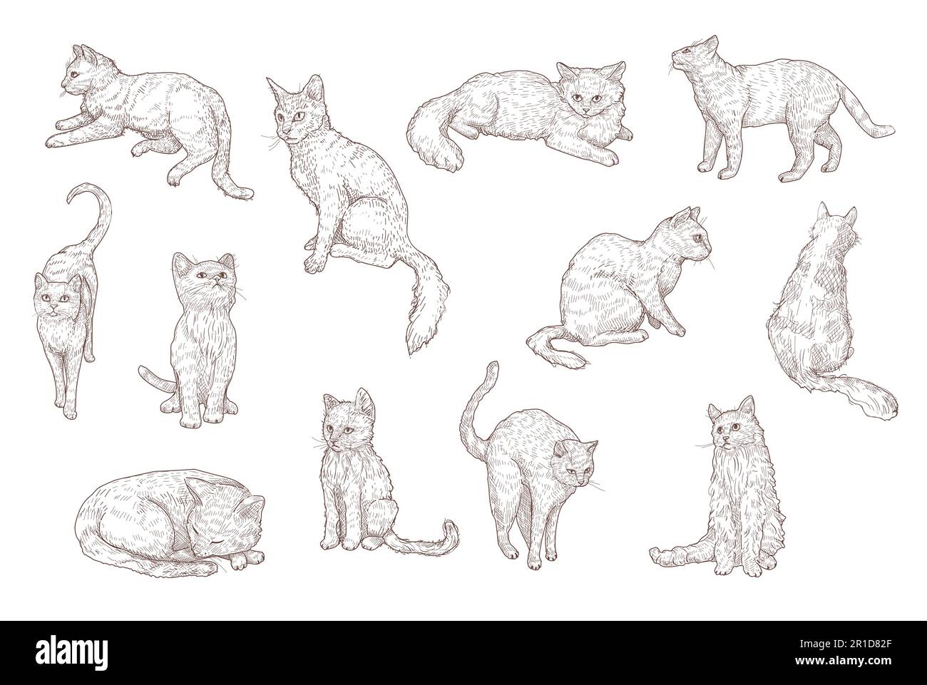 Hand drawing canape elements vector illustration collection Stock ...