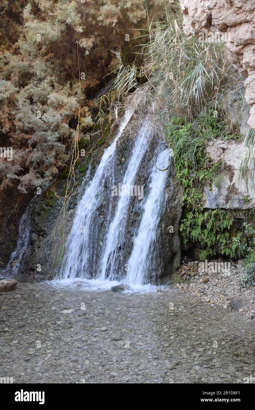 Waterfalls and wild goats on the hiking trail in the Ein Gedi Nature ...