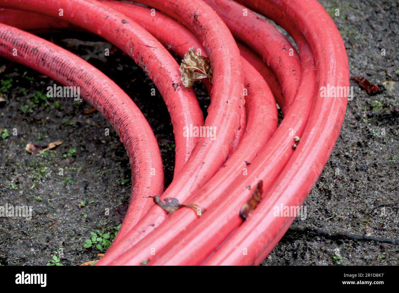 Drought bundle hi-res stock photography and images - Alamy