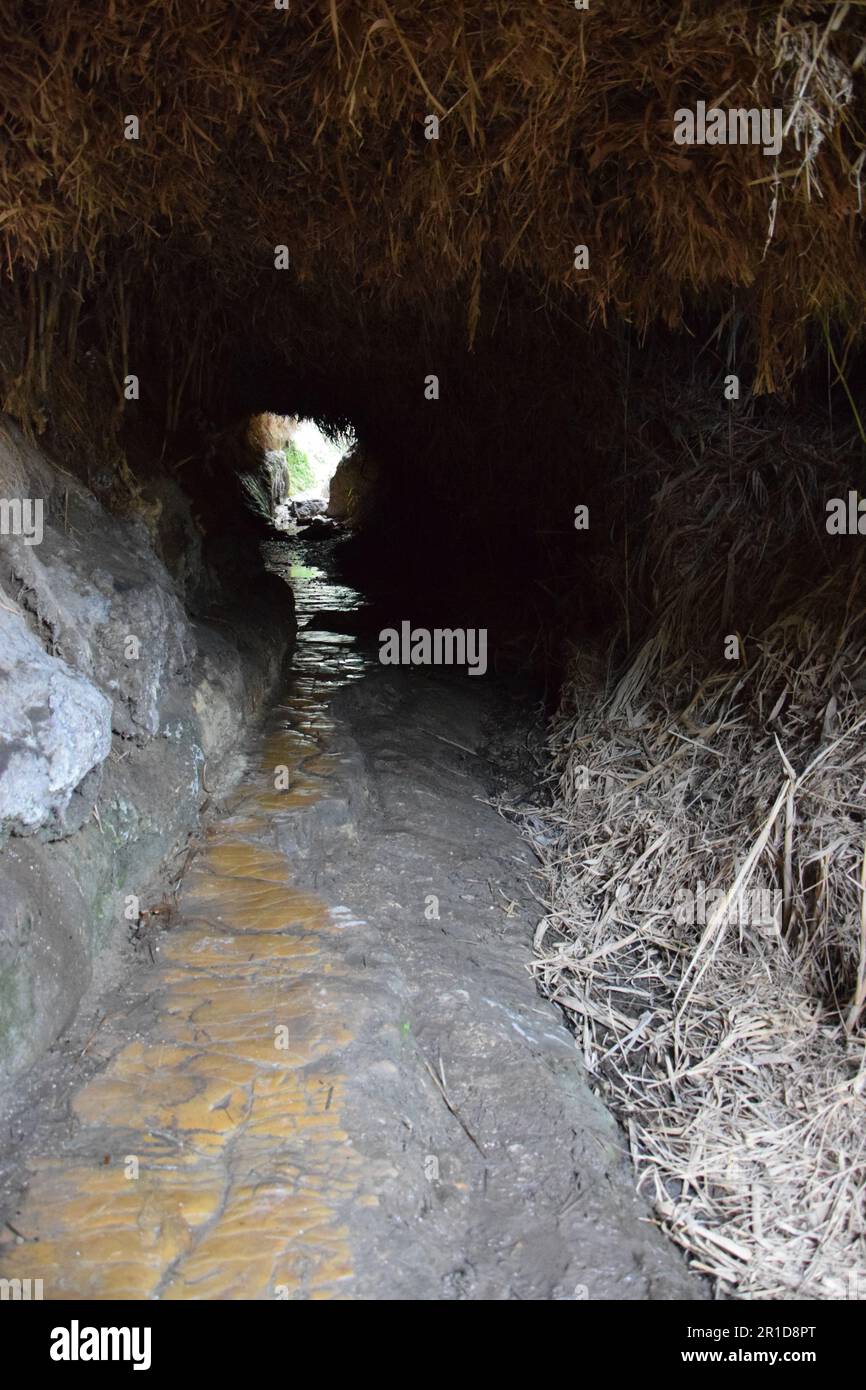 Waterfalls and wild goats on the hiking trail in the Ein Gedi Nature ...