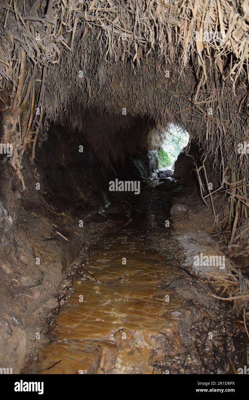 Waterfalls and wild goats on the hiking trail in the Ein Gedi Nature ...