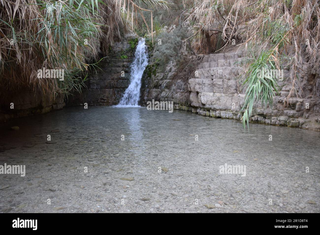 Waterfalls and wild goats on the hiking trail in the Ein Gedi Nature ...