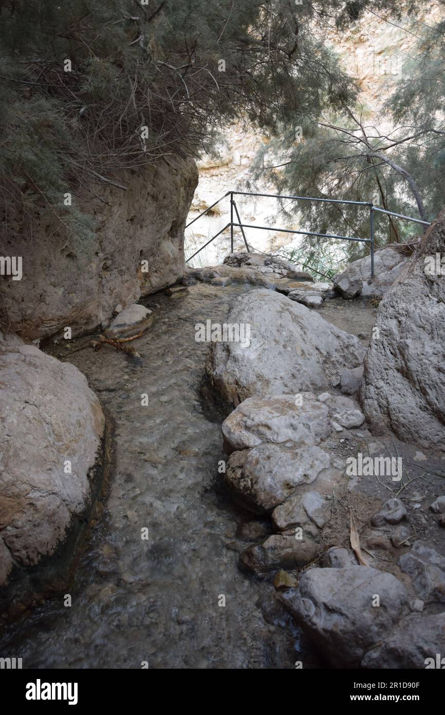 Waterfalls and wild goats on the hiking trail in the Ein Gedi Nature ...