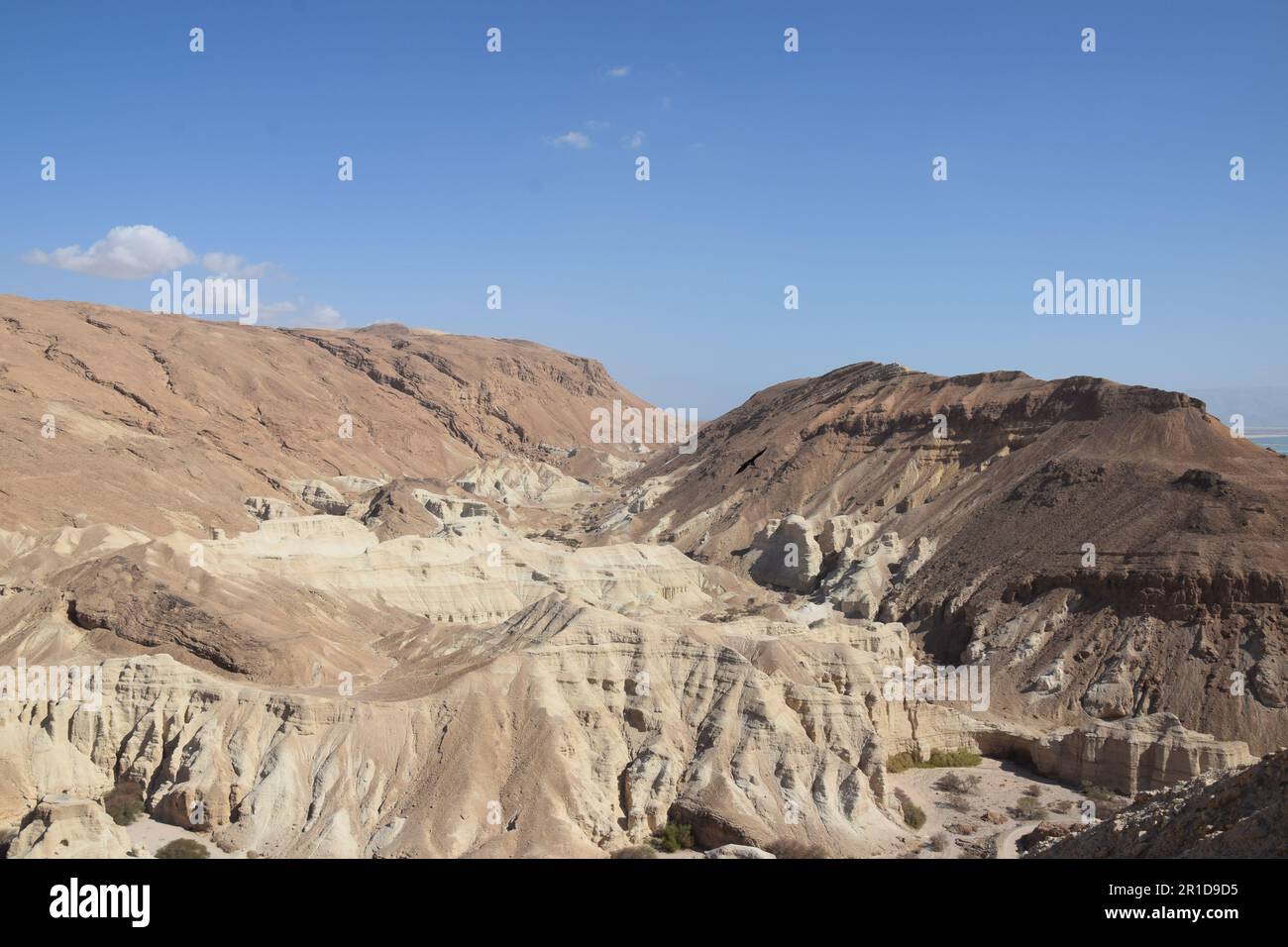 Sinking sea level, sinkholes and salt crystals - Coast of the Dead Sea ...