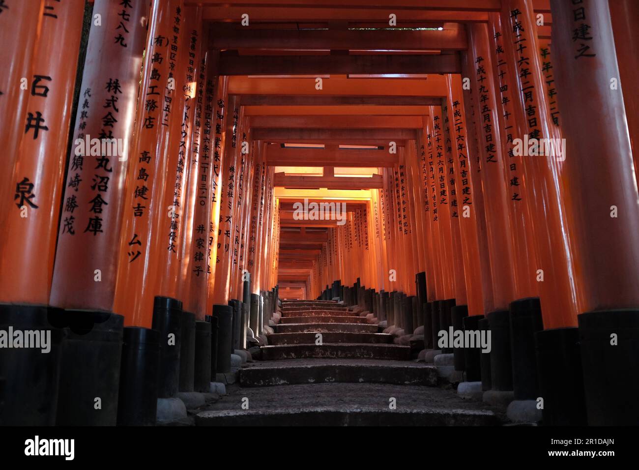 The red ceremonial shrines at Fushimi Inari Taiga in Kyoto Japan ...