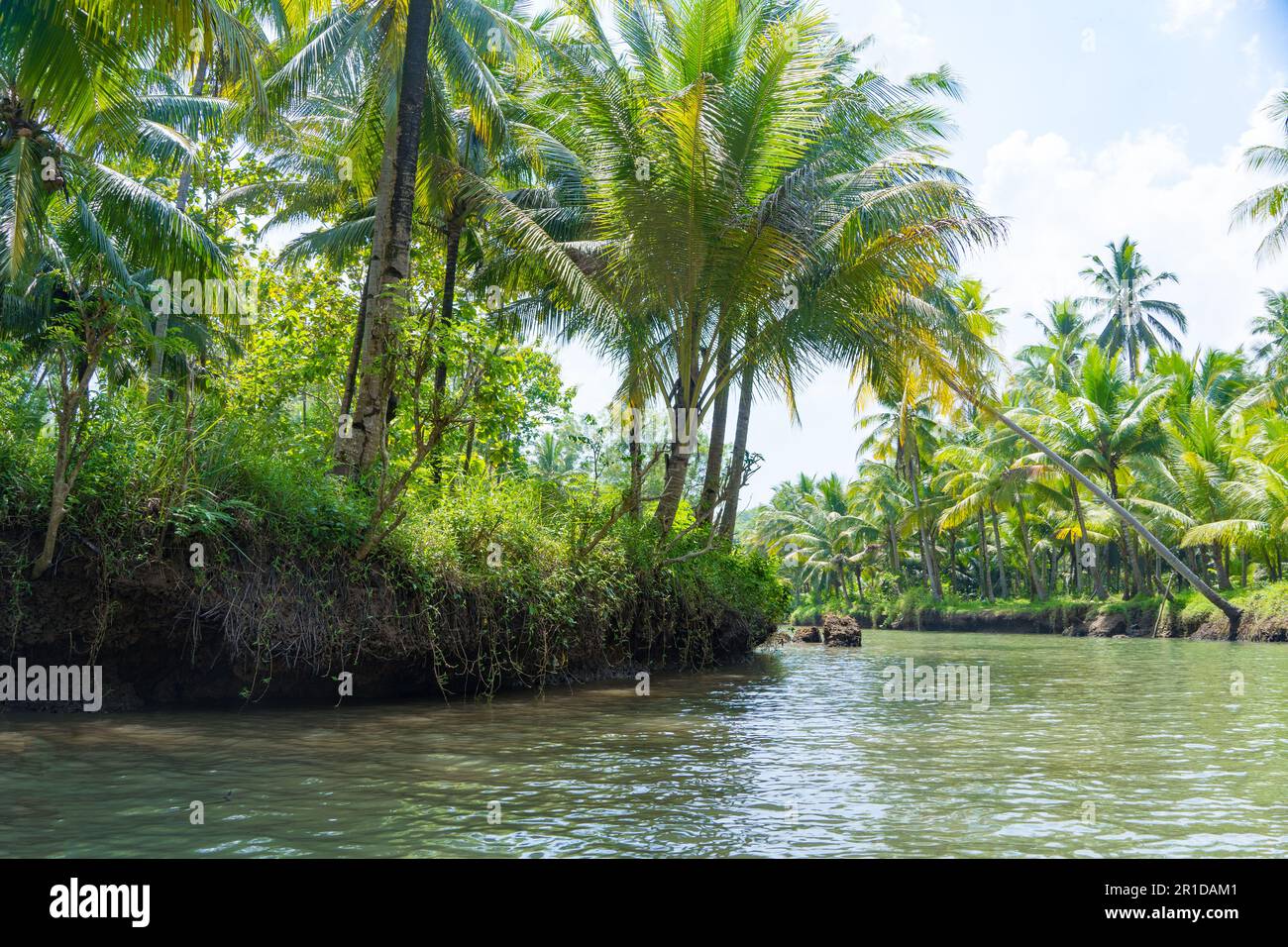 Cruising on the beautiful and calm river with trees at Kali Cokel ...