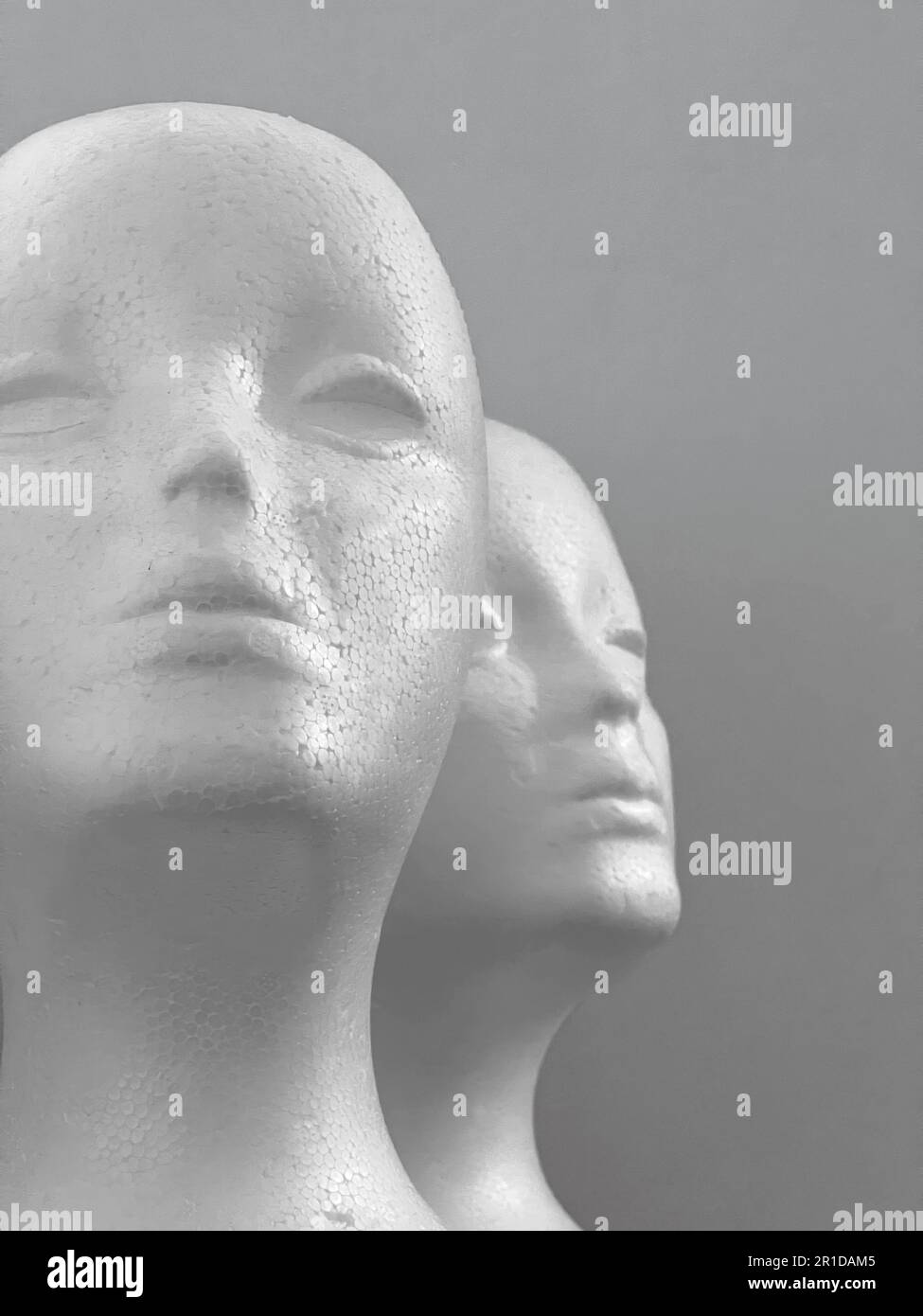 Two mannequin heads lined up side by side in front of a mirror, ready ...
