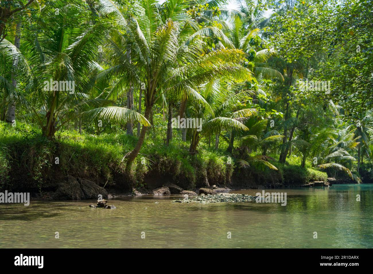 Cruising on the beautiful and calm river with trees at Kali Cokel ...