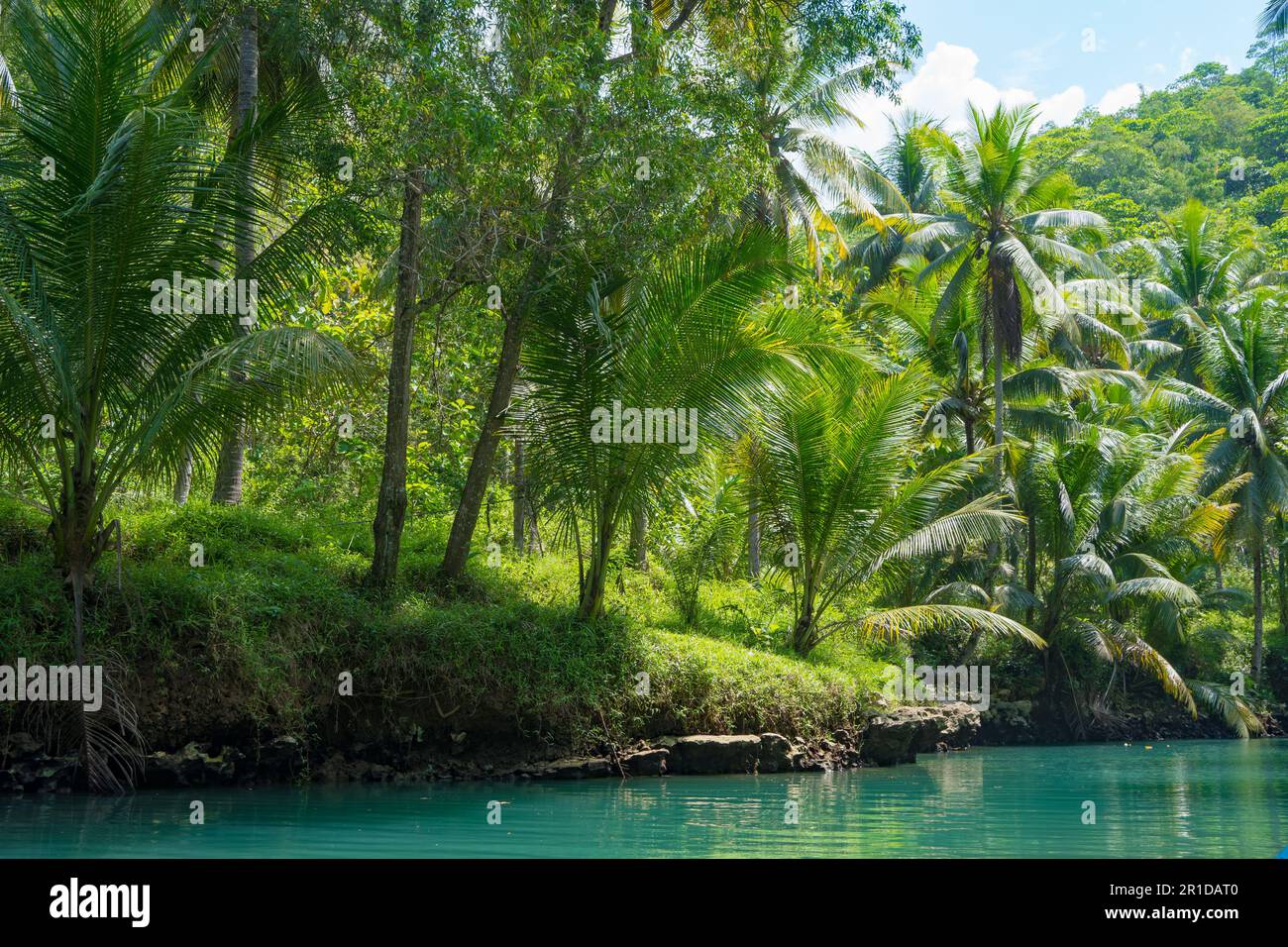 Cruising on the beautiful and calm river with trees at Kali Cokel ...
