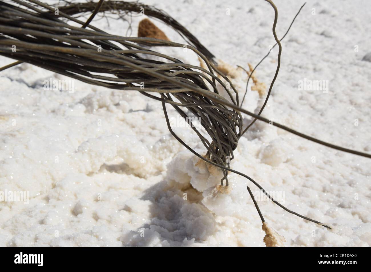 Sinking sea level, sinkholes and salt crystals - Coast of the Dead Sea ...
