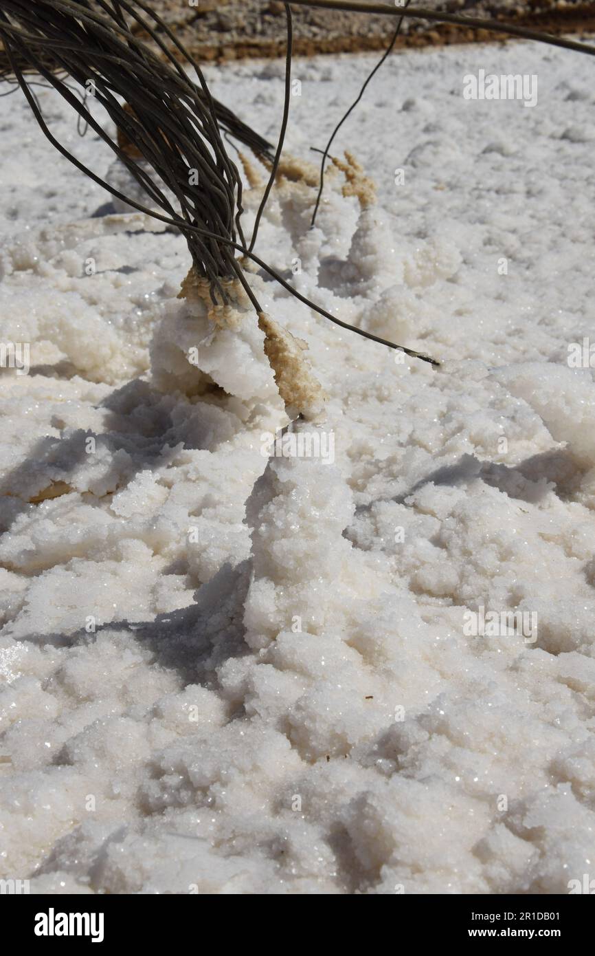 Sinking sea level, sinkholes and salt crystals - Coast of the Dead Sea ...
