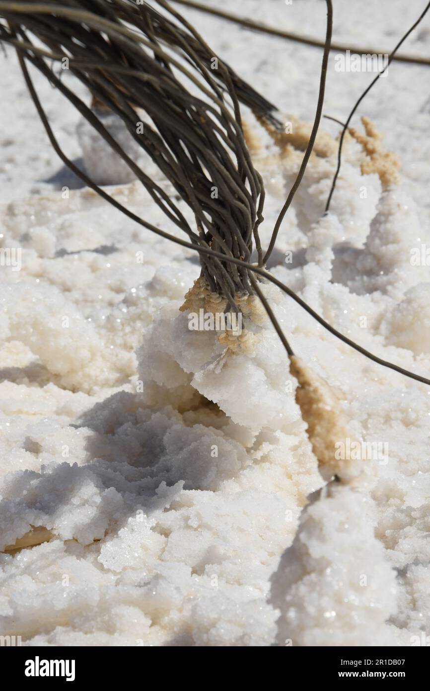 Sinking sea level, sinkholes and salt crystals - Coast of the Dead Sea ...
