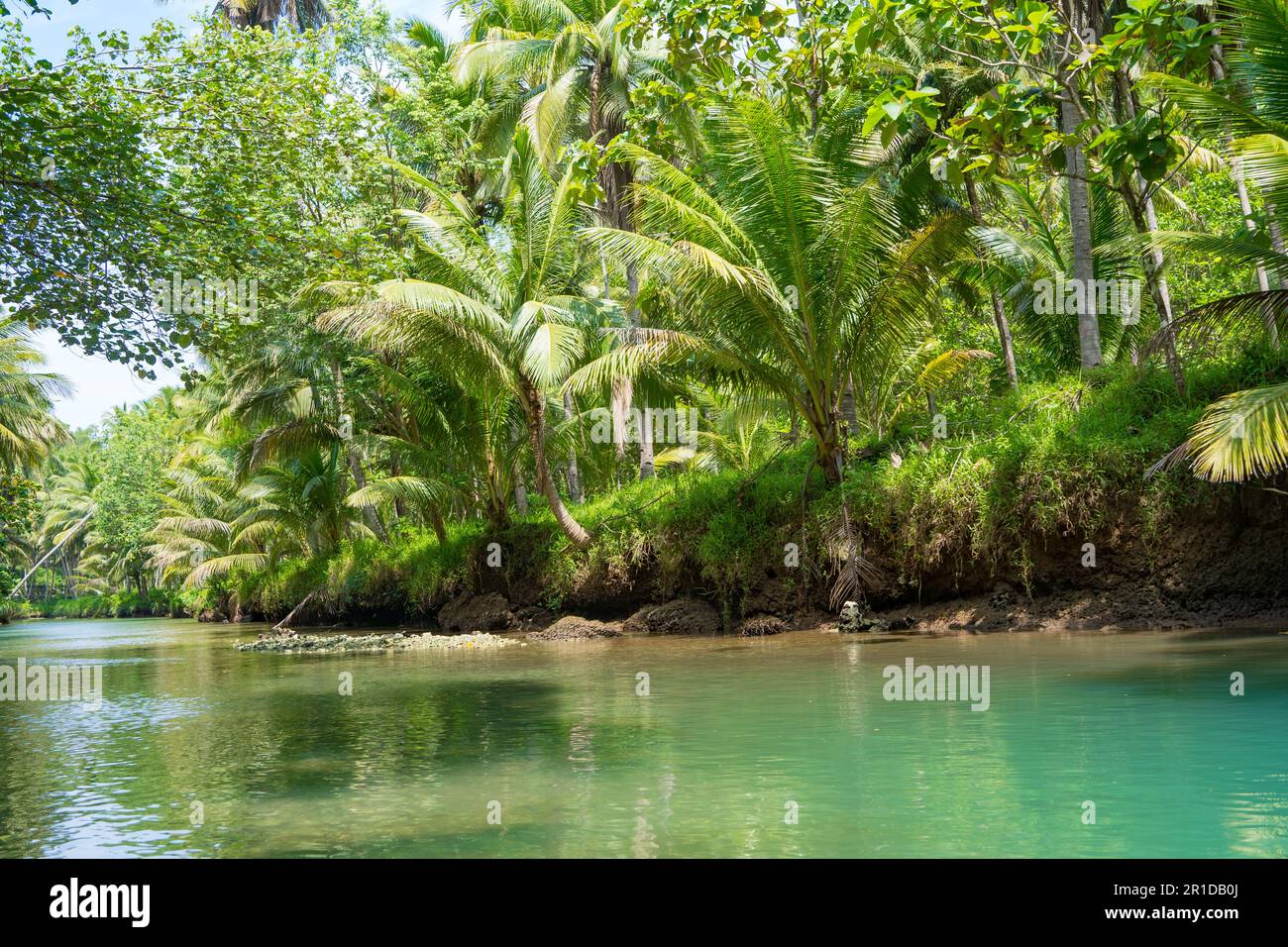 Cruising on the beautiful and calm river with trees at Kali Cokel ...