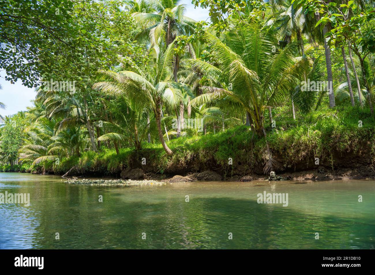 Cruising on the beautiful and calm river with trees at Kali Cokel ...