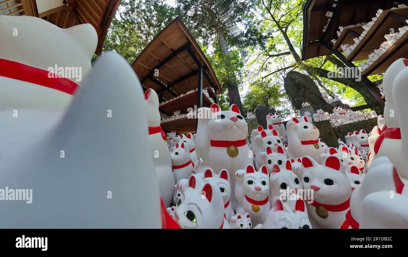 Tokyo Japan - May2 2023: Gotokuji, the famous cat shrine in tokyo ...