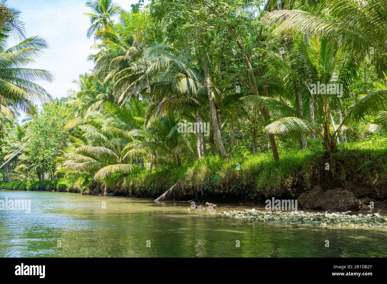 Cruising on the beautiful and calm river with trees at Kali Cokel ...