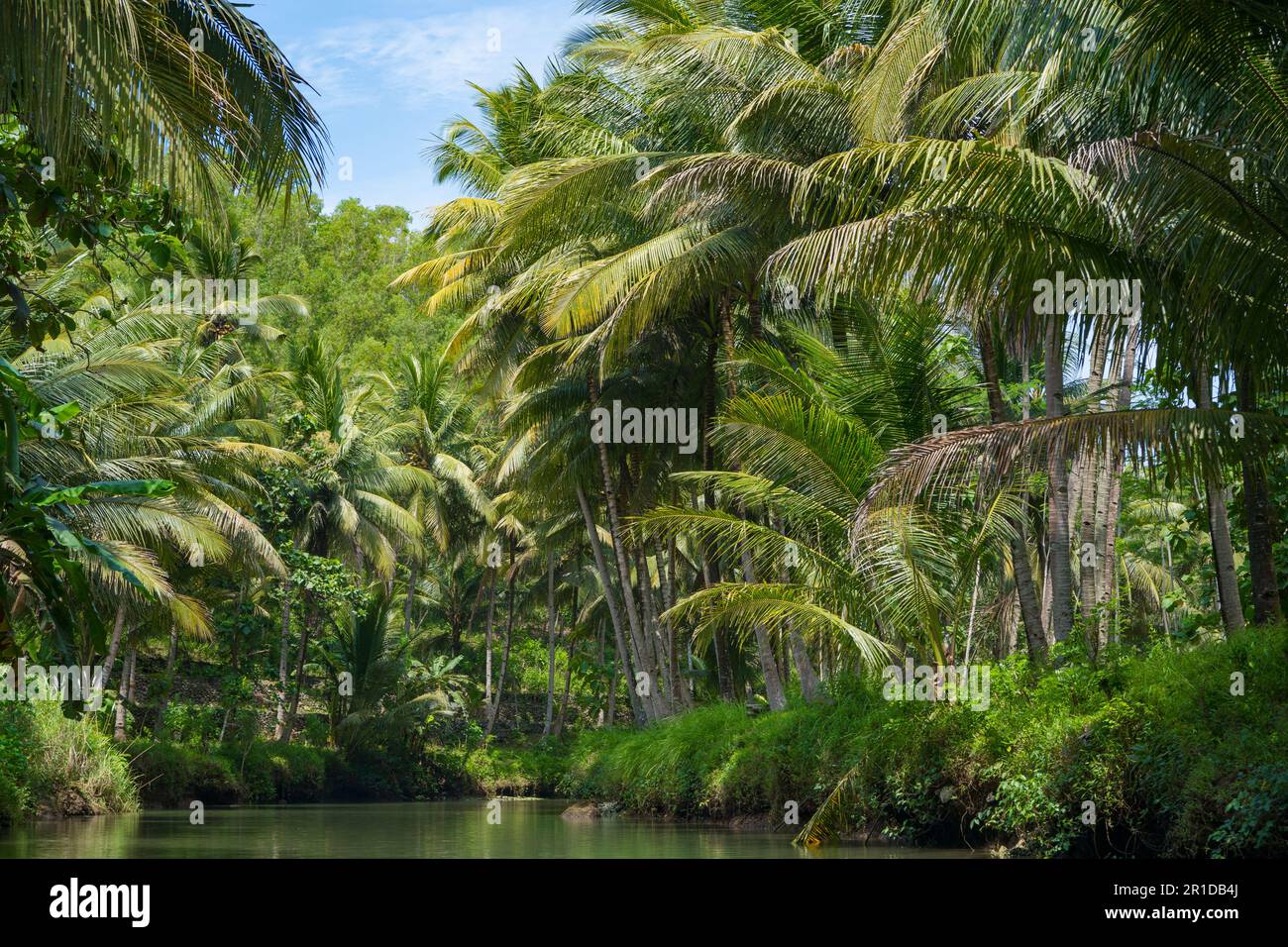 Maron rivers hi-res stock photography and images - Alamy