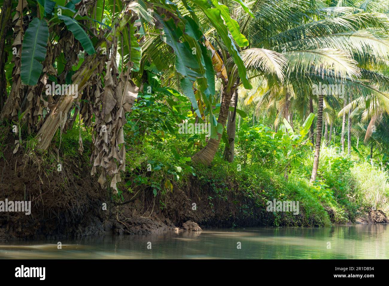 Cruising on the beautiful and calm river with trees at Kali Cokel ...