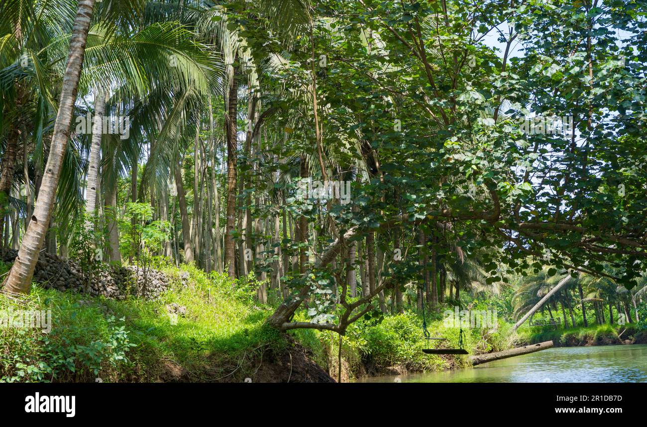 Cruising on the beautiful and calm river with trees at Kali Cokel ...
