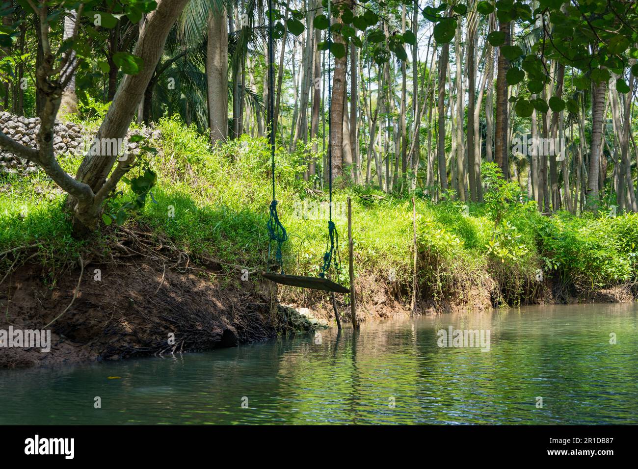 Cruising on the beautiful and calm river with trees at Kali Cokel ...