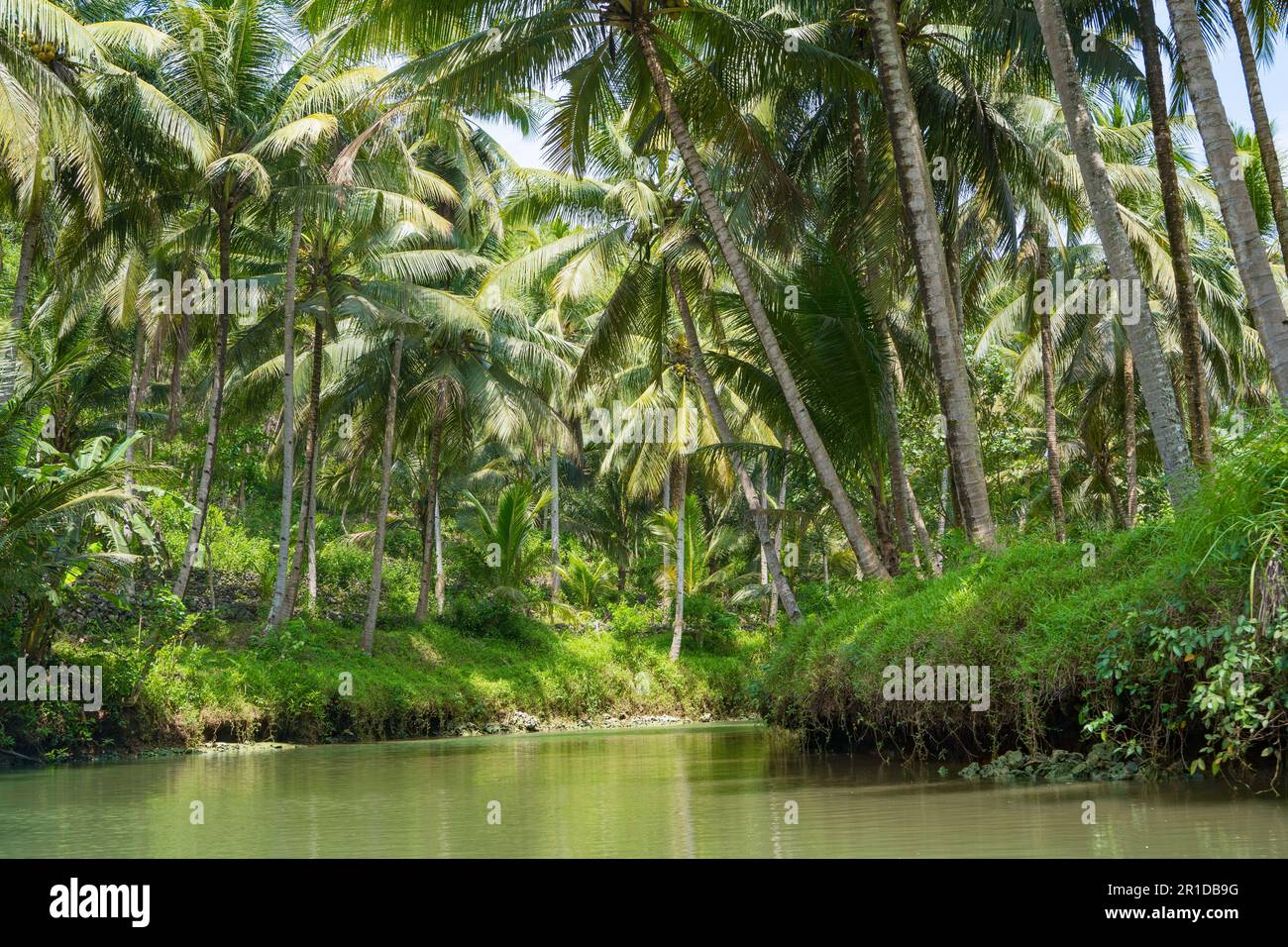 Cruising on the beautiful and calm river with trees at Kali Cokel ...