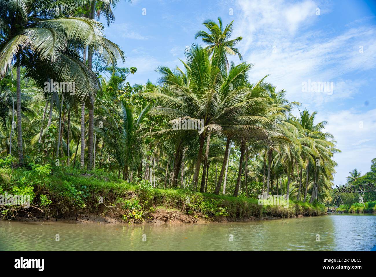 Cruising on the beautiful and calm river with trees at Kali Cokel ...