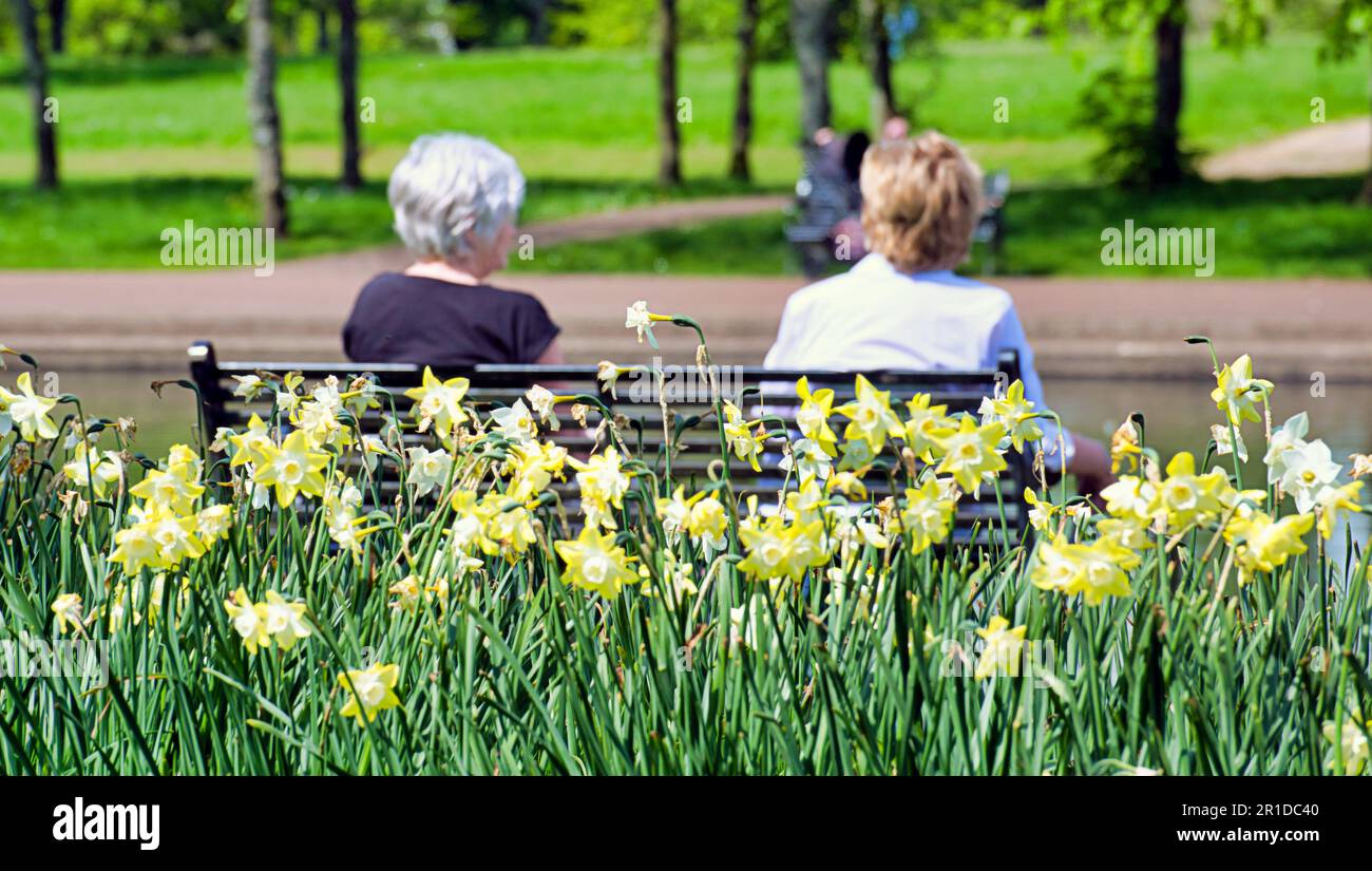 Knightswood park pond hi-res stock photography and images - Alamy