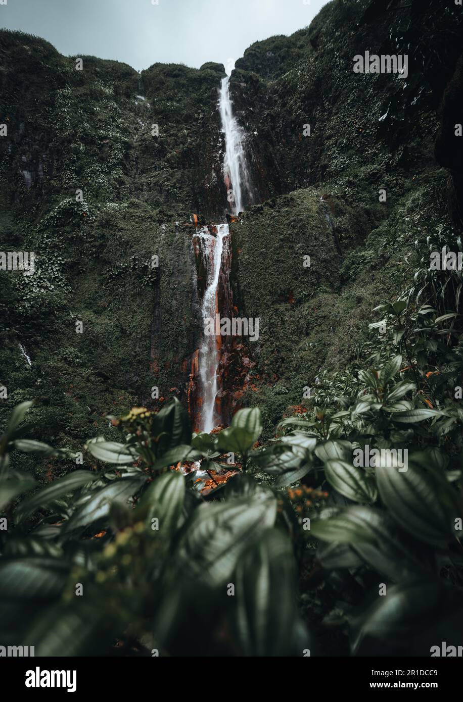 Waterfall in Guadeloupe Caribbean island. Chutes du Carbet, waterfall ...